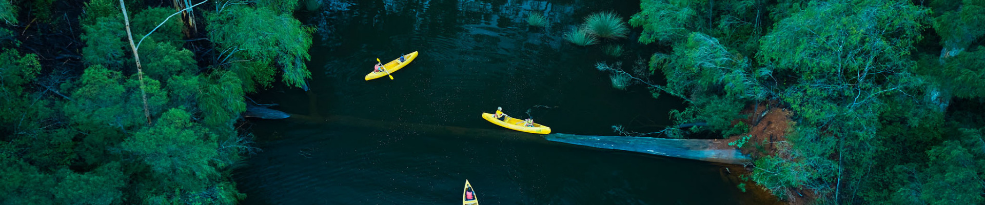 Things To Do In Karri Valley | RAC Karri Valley Resort