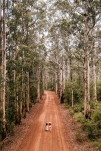 8 reasons why RAC Karri Valley Resort is perfect for your next group ...