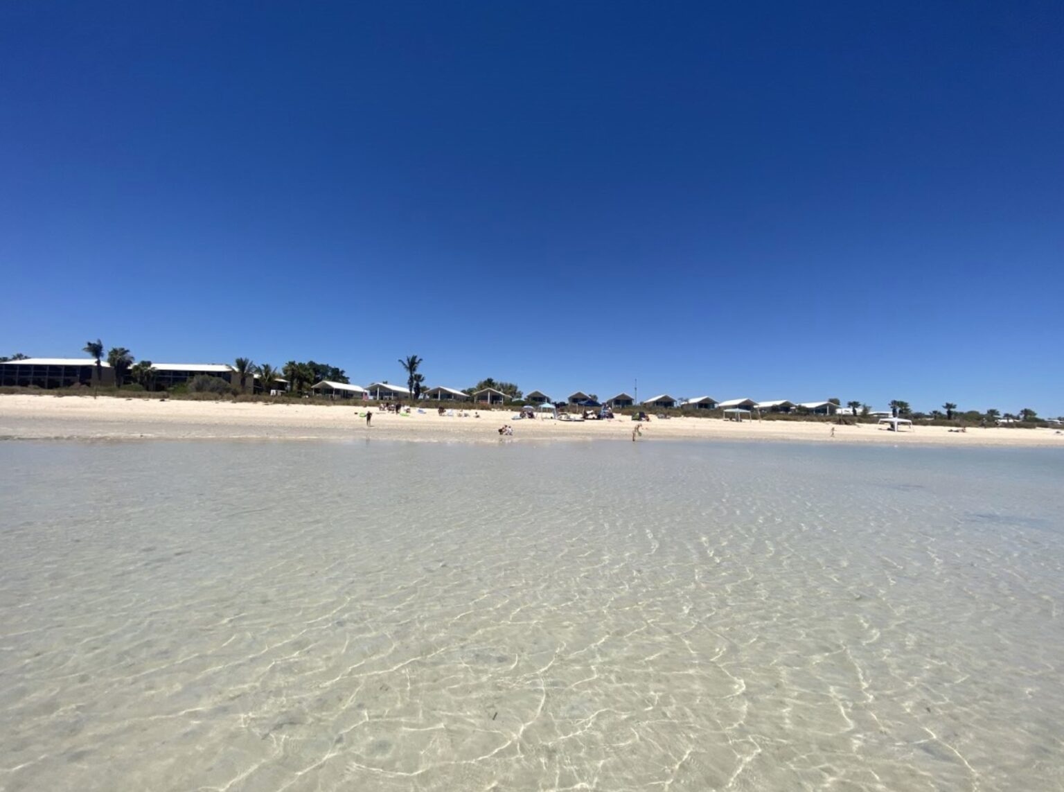 The Nguyen family: Our 4 days in Monkey Mia - RAC Parks & Resorts