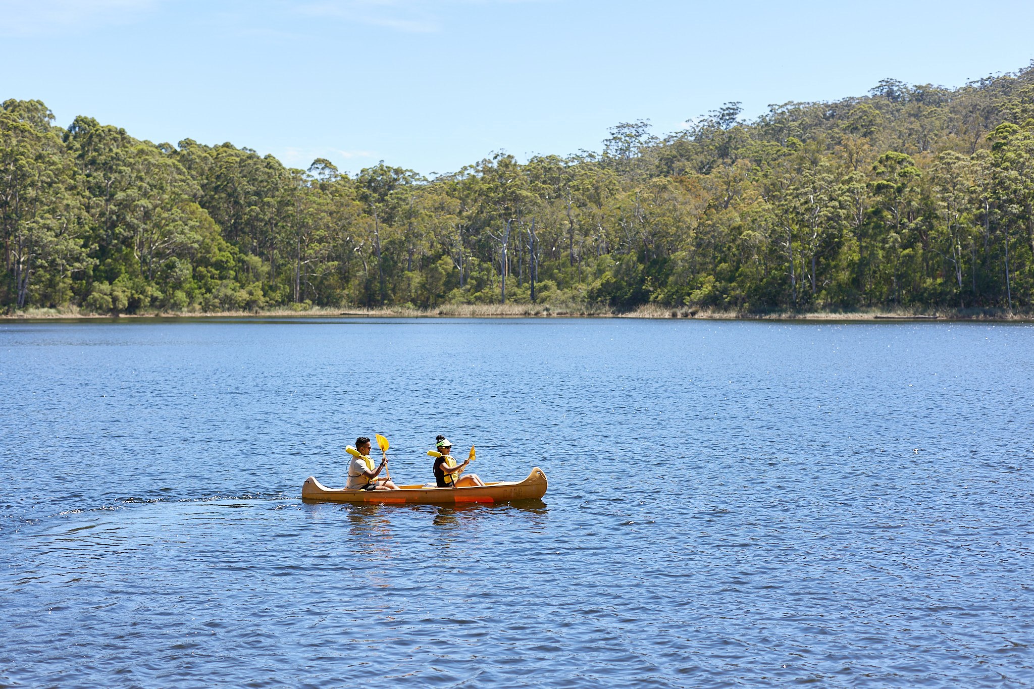 Things to do at RAC Karri Valley Resort - RAC Parks & Resorts