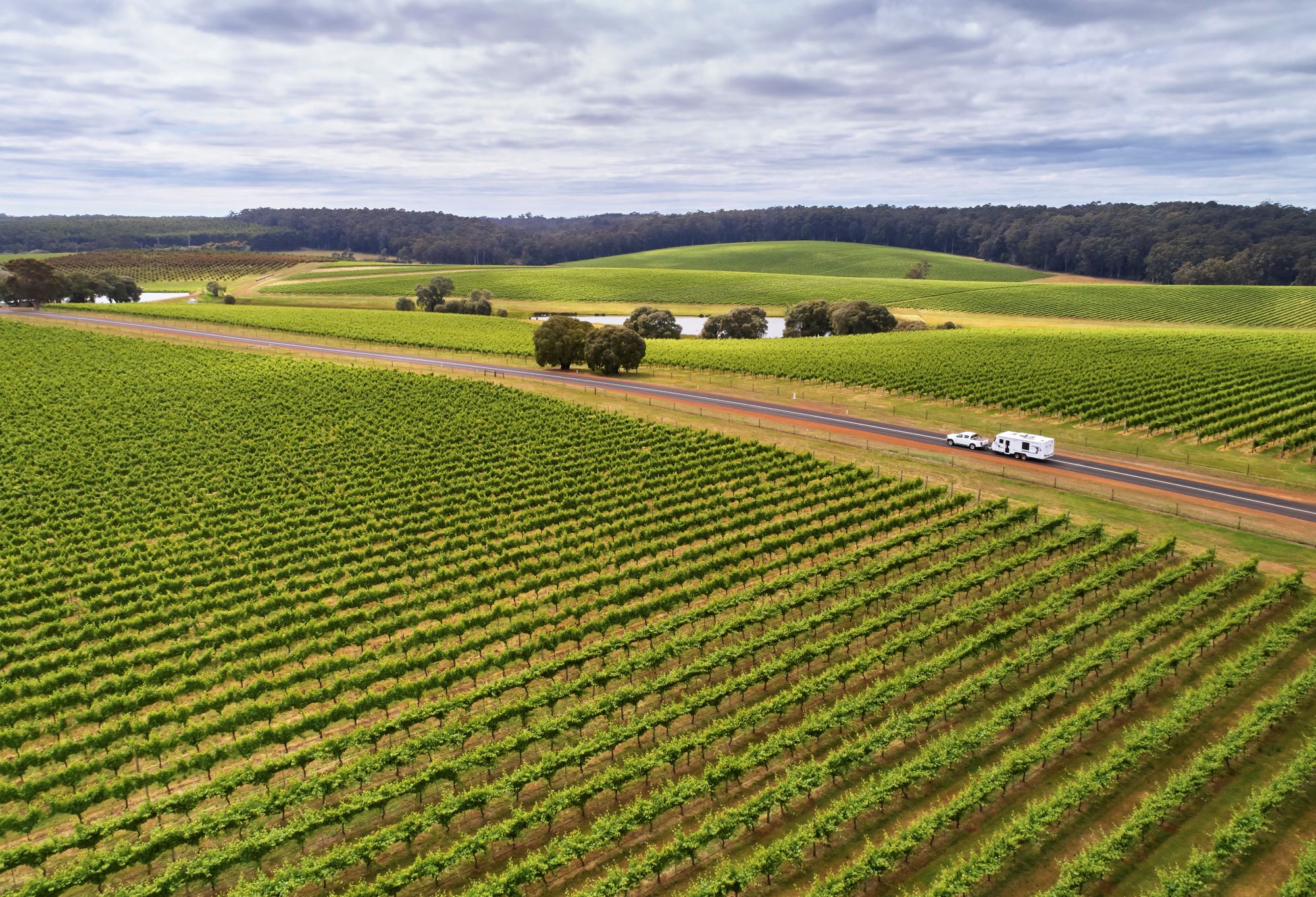 Things to do at RAC Karri Valley Resort - RAC Parks & Resorts